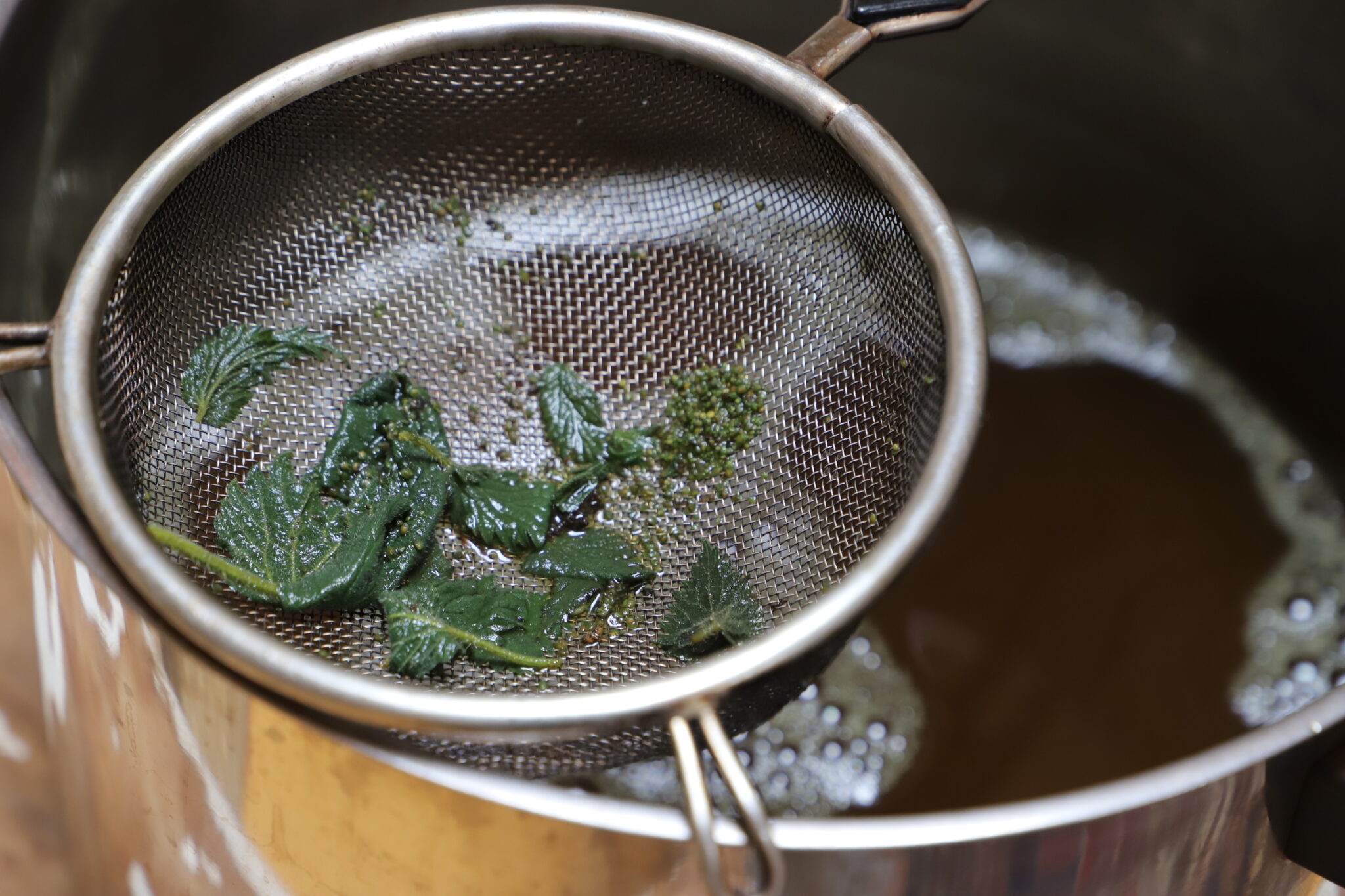 Make Natural Inks & Paints From Plants - kathryndavey.com