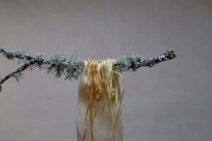 Natural Dyeing with Lichen - A Heritage Dye - kathryndavey.com
