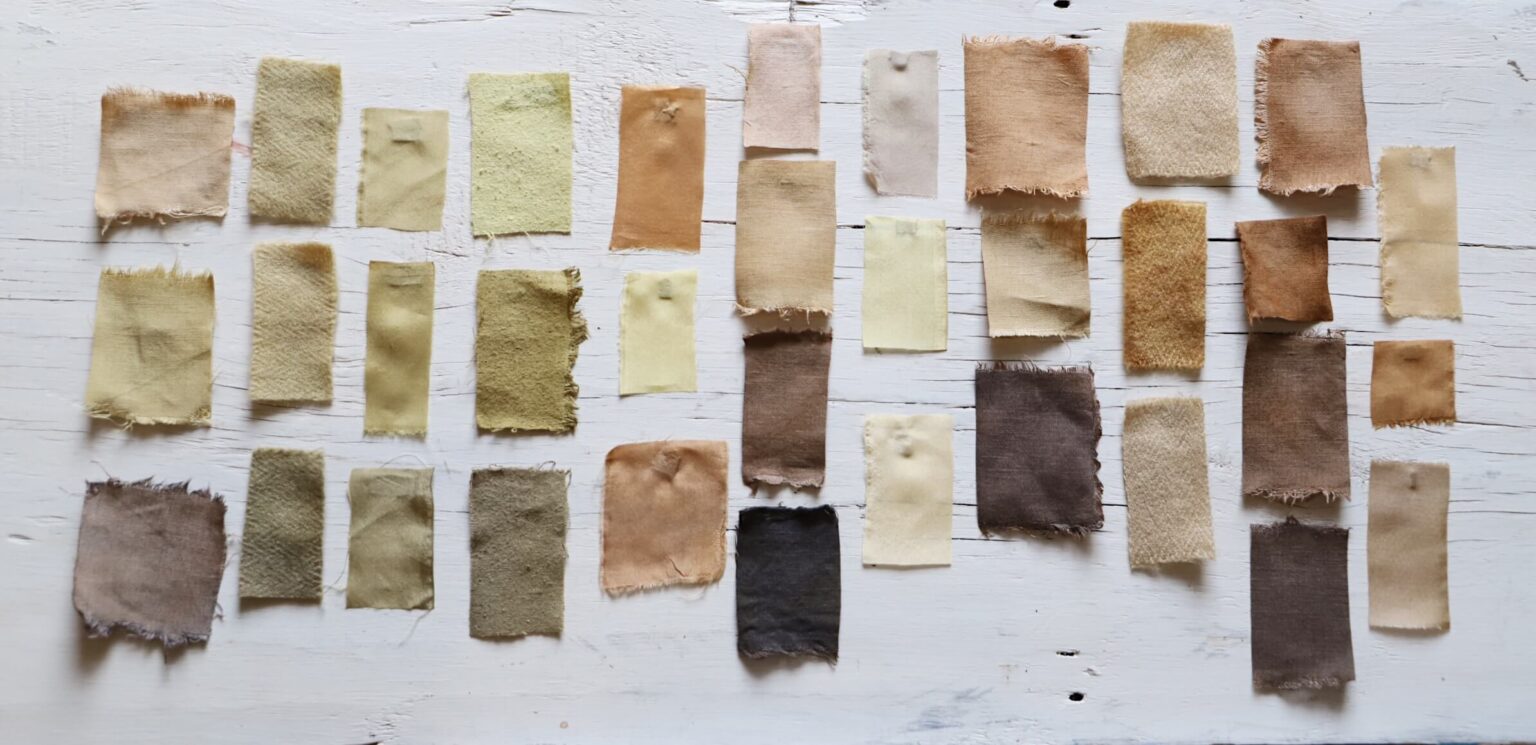 6 Surprising Sources of Plant Dye