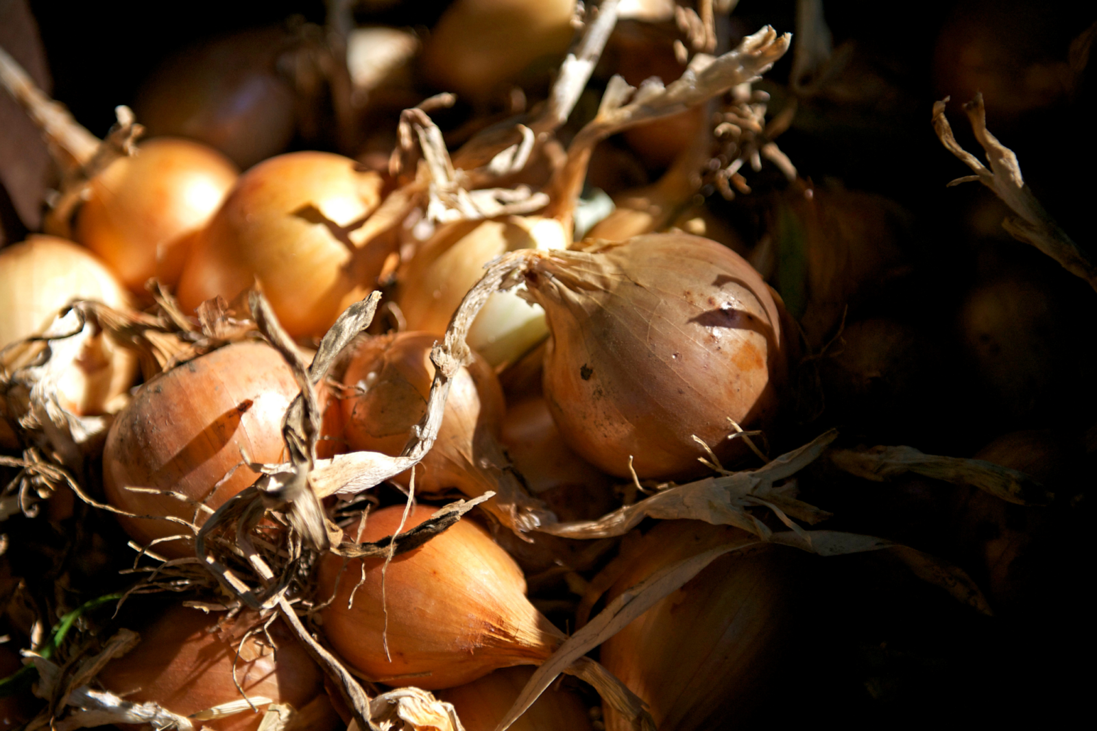 How To Naturally Dye With Onion Skins - kathryndavey.com