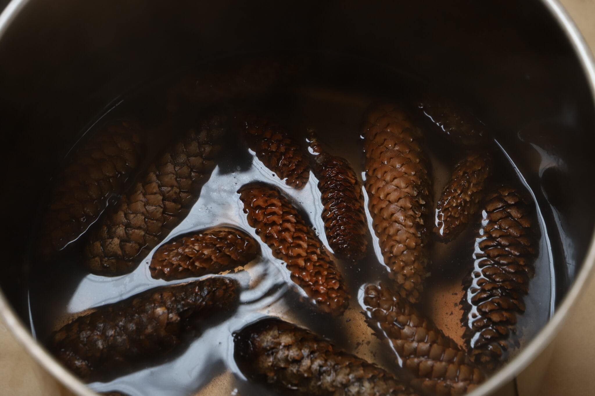 Natural Dyeing with Spruce Cones - kathryndavey.com