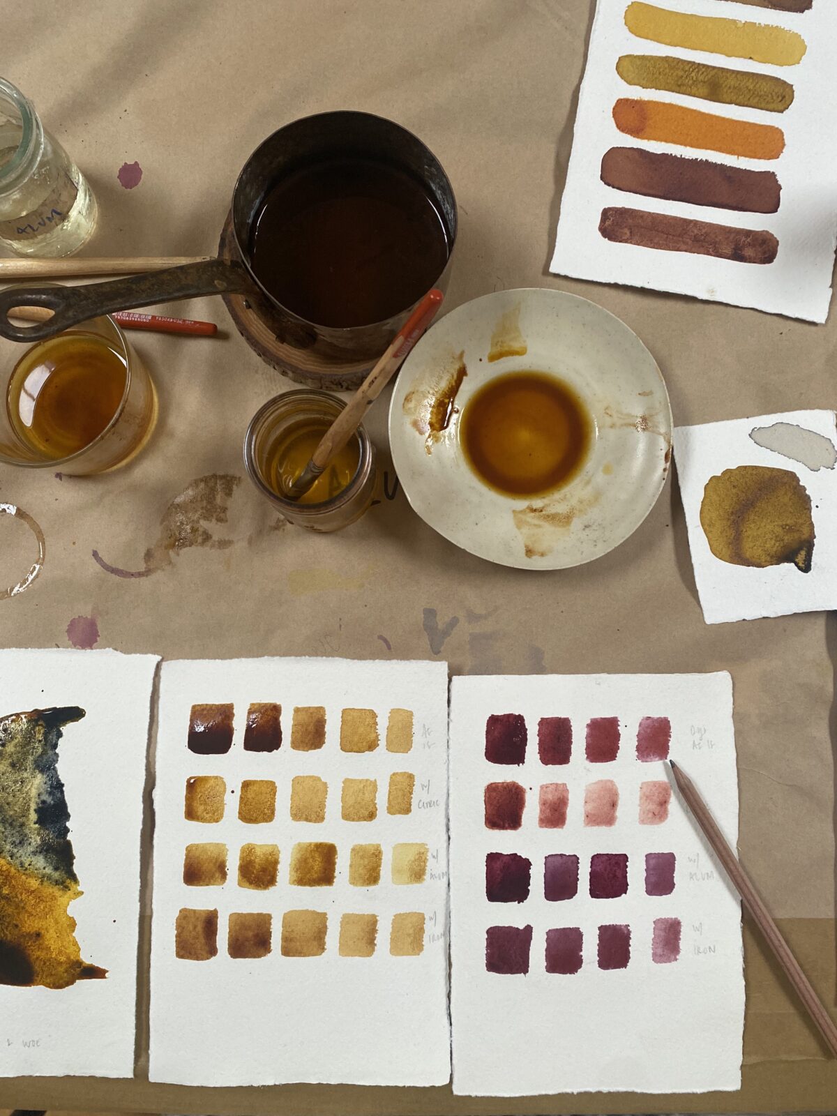 Make Natural Inks & Paints From Plants - kathryndavey.com