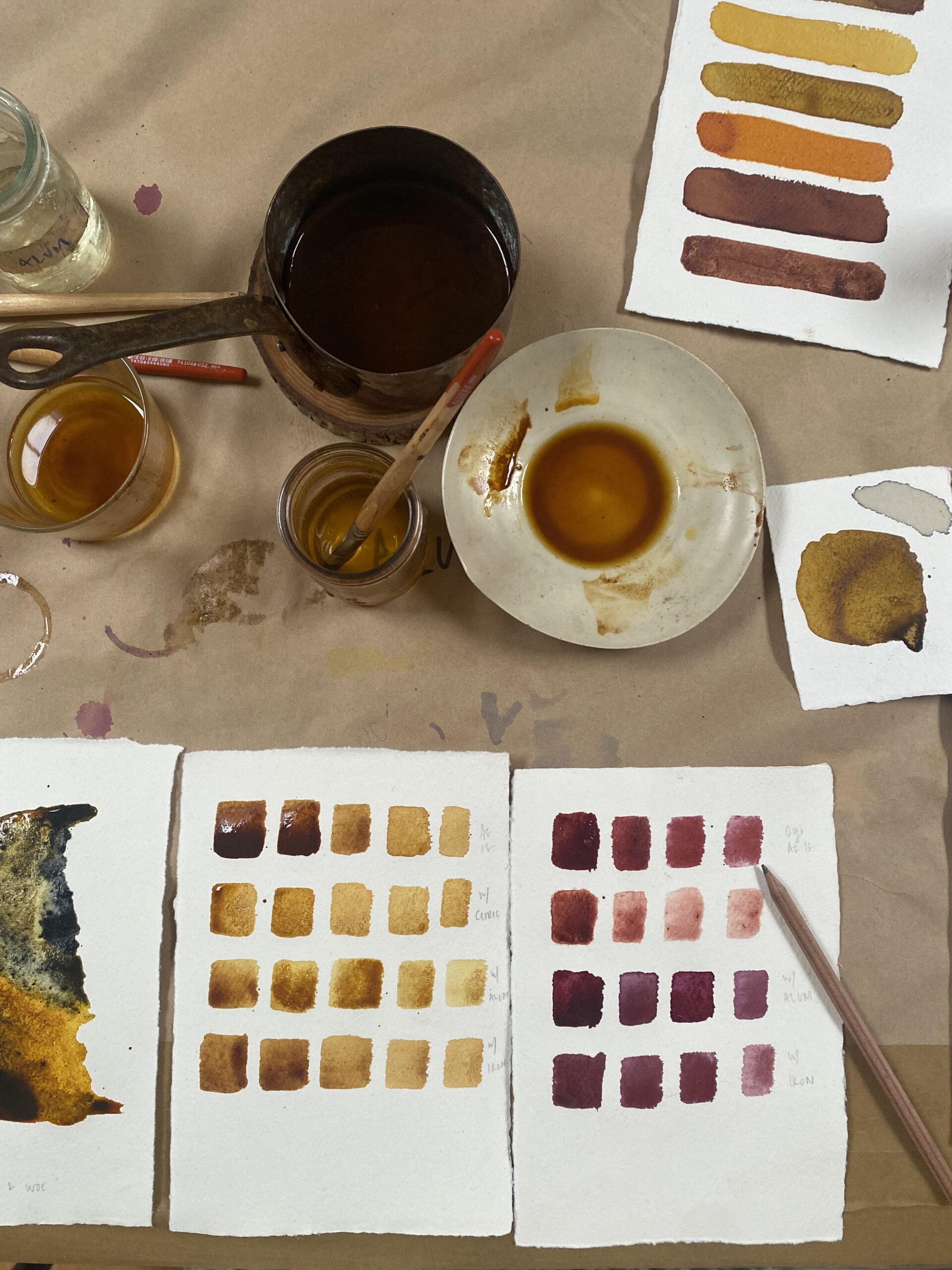 Make Natural Inks & Paints From Plants - kathryndavey.com