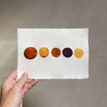 Make Natural Inks & Paints From Plants - kathryndavey.com