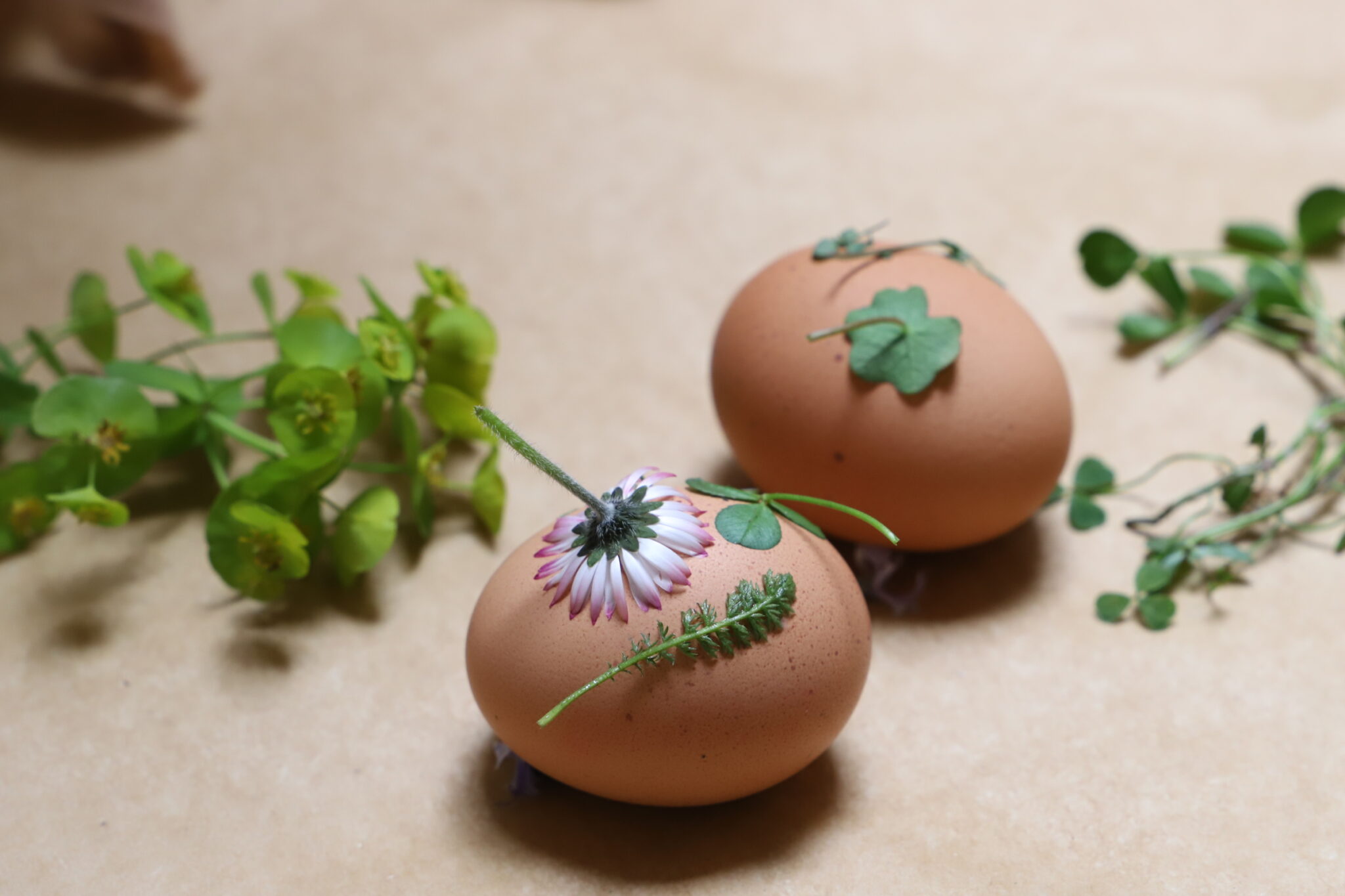 Naturally Dyed + Patterned Easter Eggs - kathryndavey.com