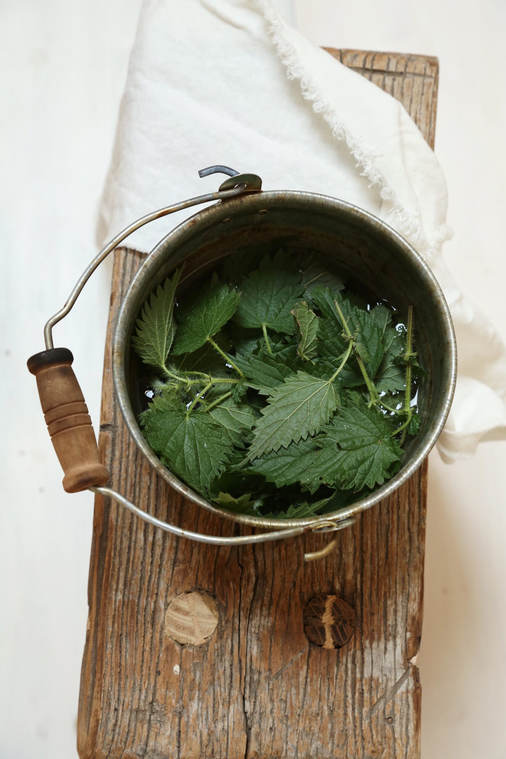 6 Surprising Sources of Plant Dye