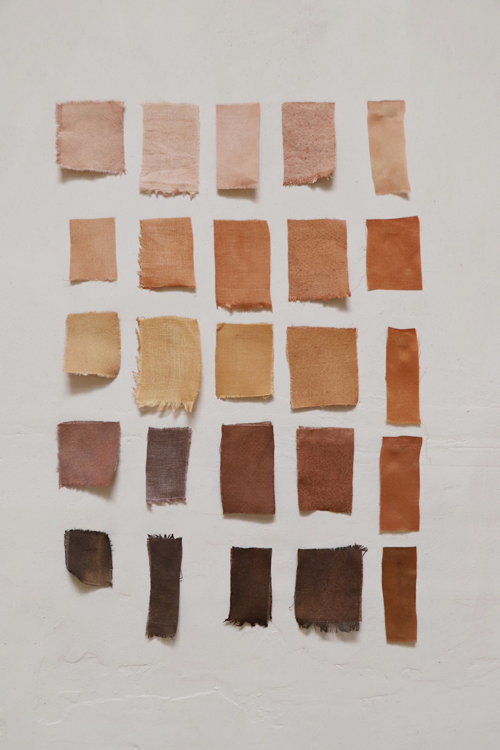 6 Surprising Sources of Plant Dye