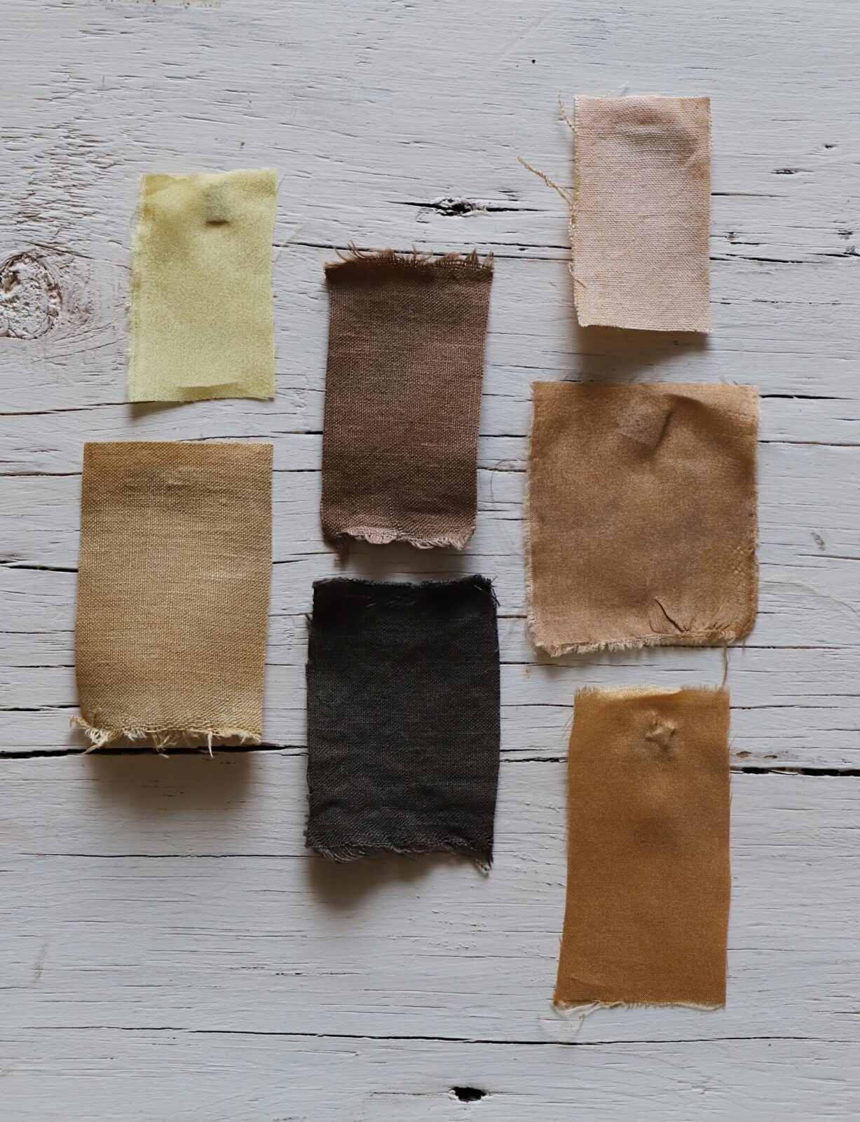 6 Surprising Sources of Plant Dye