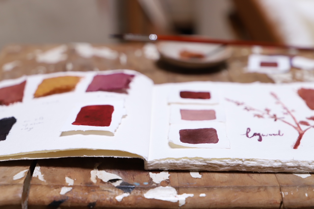 Making Paint from Plants | New Course - kathryndavey.com