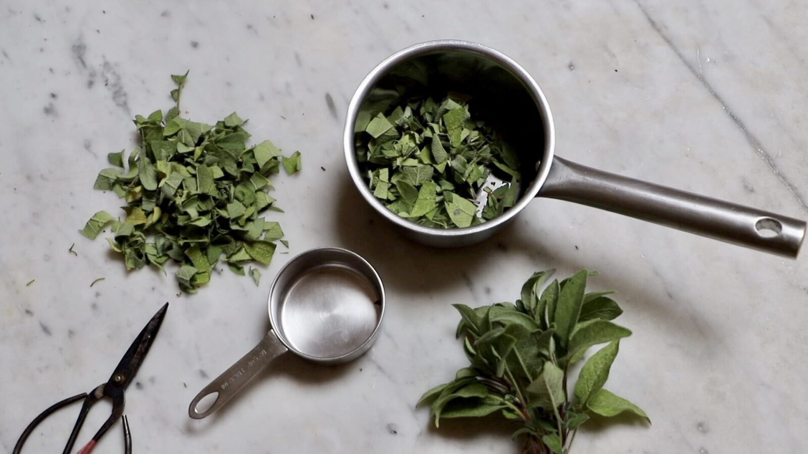 Make Paint From Plants | It's Live! - kathryndavey.com