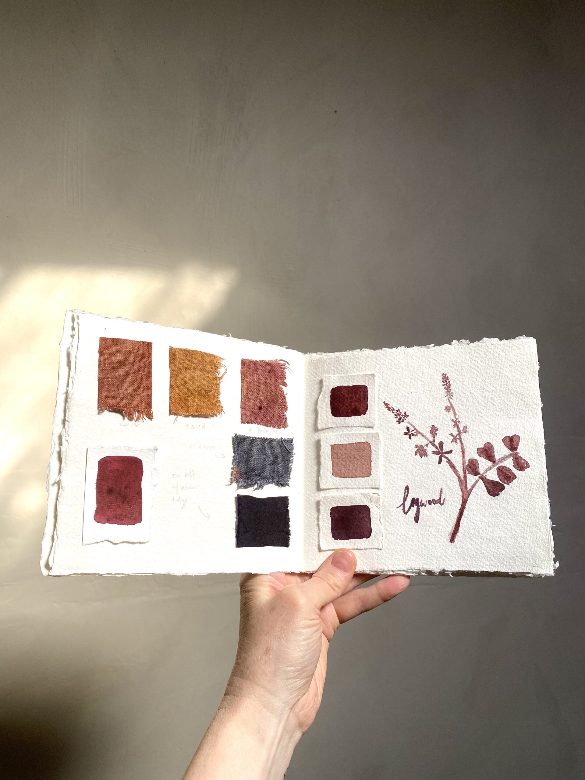 Make Paint From Plants | It's Live! - kathryndavey.com
