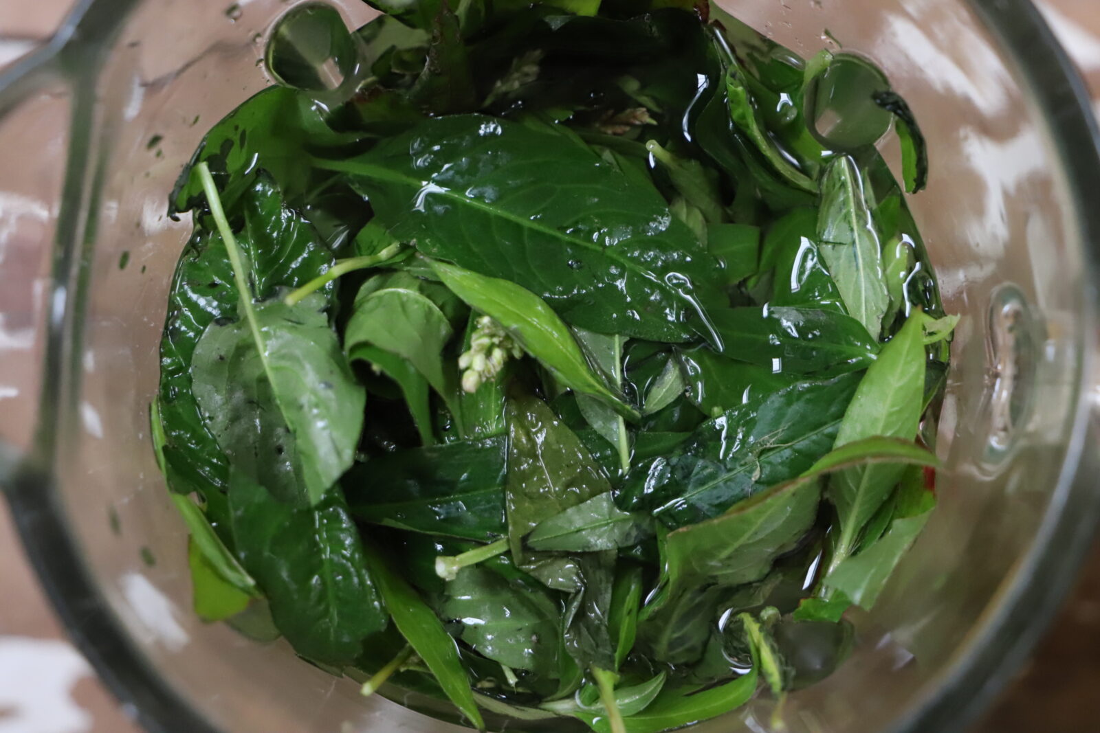 Natural Dyeing with Fresh-leaf Indigo - kathryndavey.com