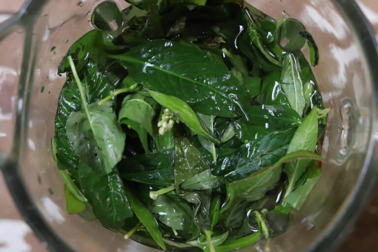 Natural Dyeing with Fresh-leaf Indigo - kathryndavey.com